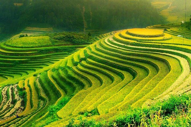 Sa Pa 2-Day Moderate Trek and Homestay Limousine Tour from Hanoi - Is This Tour Right for You?
