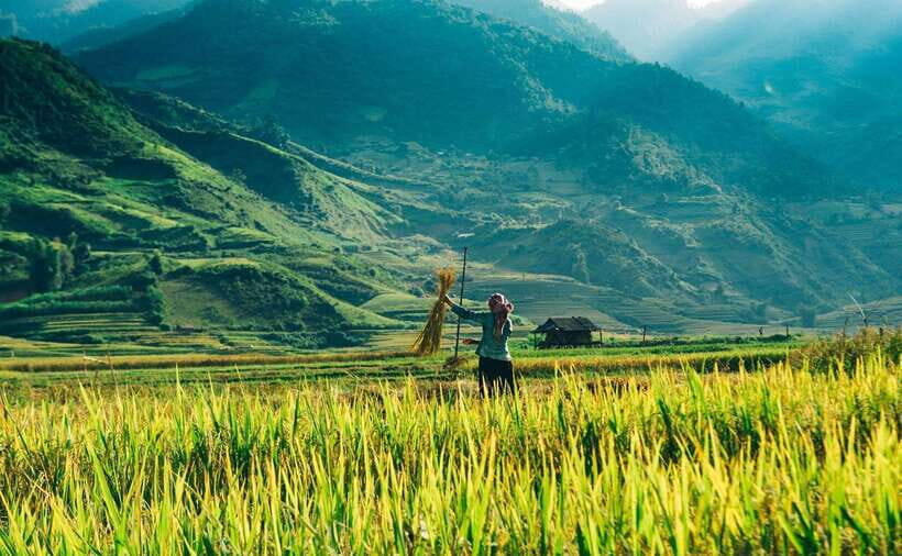 Sa Pa: 2-Day Trekking Tour with Ethnic Minority Homestay - Value and Practical Details