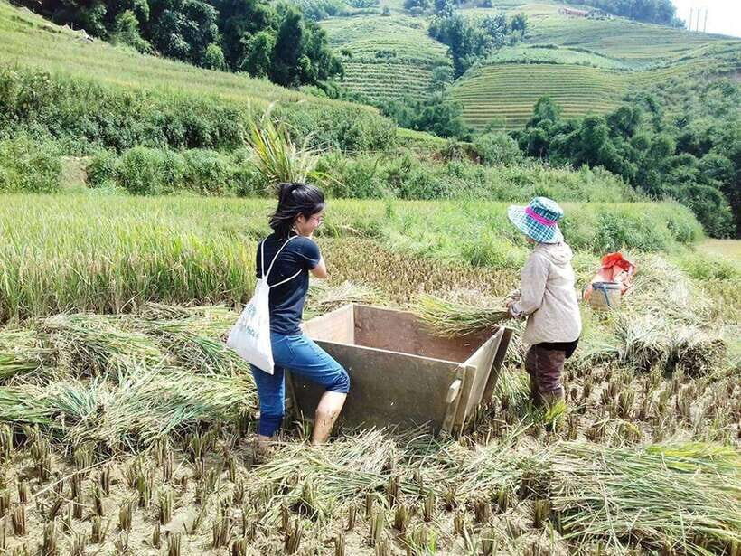 Sa Pa: Muong Hoa Valley Trek and Local Ethnic Villages - What to Expect from the Muong Hoa Valley Trek