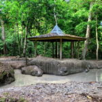 Sabah: Pulau Tiga Snorkeling Day Trip with Lunch - Self-Reflection: The Real Value