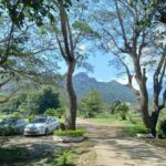 Sabeto Hot Springs and Mud Pool Tour - Sabeto Hot Springs and Mud Pool Experience