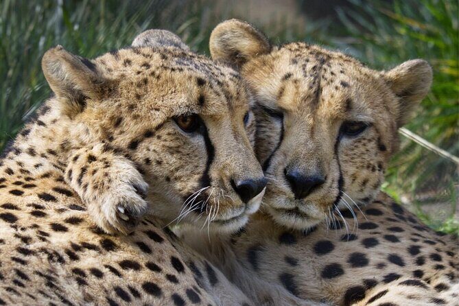 Sacramento Zoo General Admission Ticket - Who Will Enjoy This Experience?