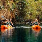 Sacred Adventure at Xenotes! 4 Different Cenotes + Round Transportation - The Activities: Adventure Meets Nature