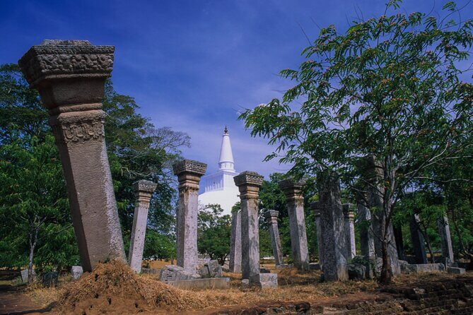 Sacred City of Anuradhapura from Colombo - The Sum Up: Is It Worth It?