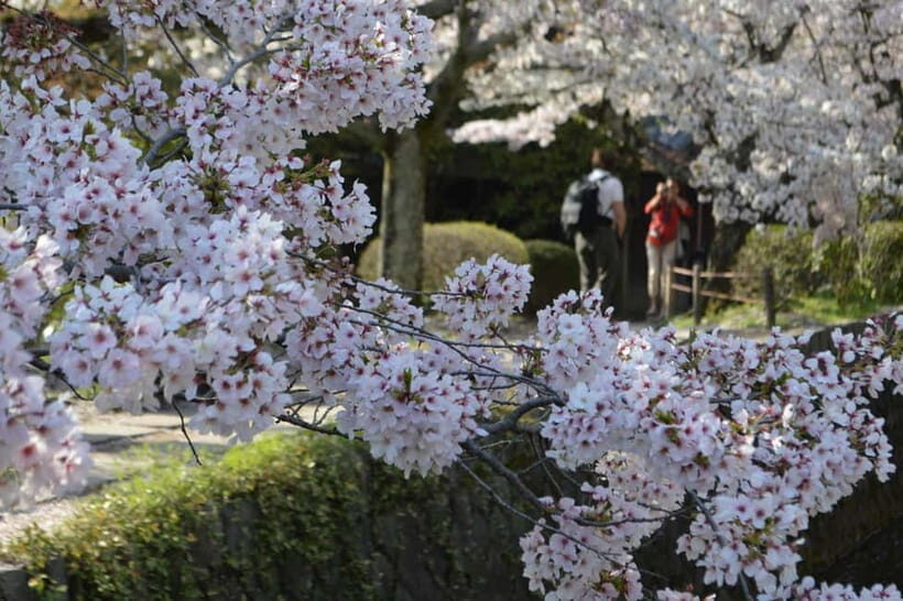Sacred Pathways: Discover the Philosopher's Path of Kyoto - The Value Proposition