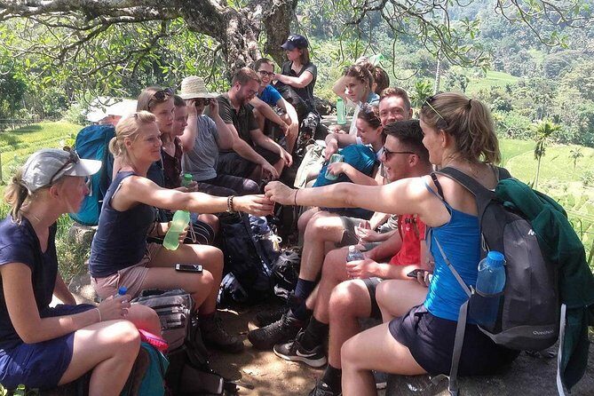 Safari Excursion tour (4 Days, 3 Nights) - A Detailed Breakdown of the Itinerary