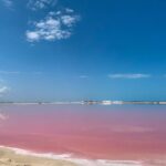 Safari in Rio Lagartos, Coloradas and Mayan Bath - What the Tour Feels Like