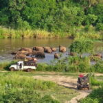 Safari Jeep in Hurulu Eco Park Sri Lanka wit Pigeon Island Tours - The Guide and Group Size