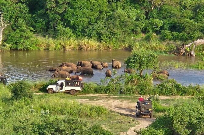 Safari Jeep in Hurulu Eco Park Sri Lanka wit Pigeon Island Tours - The Guide and Group Size