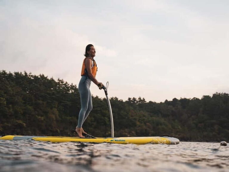 Saiko Lake: Hobie Watersports with Mount Fuji View - What to Expect During Your Visit
