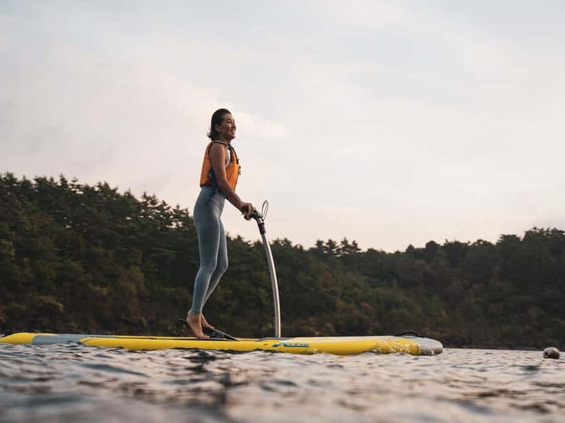 Saiko Lake: Hobie Watersports with Mount Fuji View - What to Expect During Your Visit