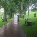 Saint John Walking Tour - Exploring the Itinerary: What You Will See and Experience