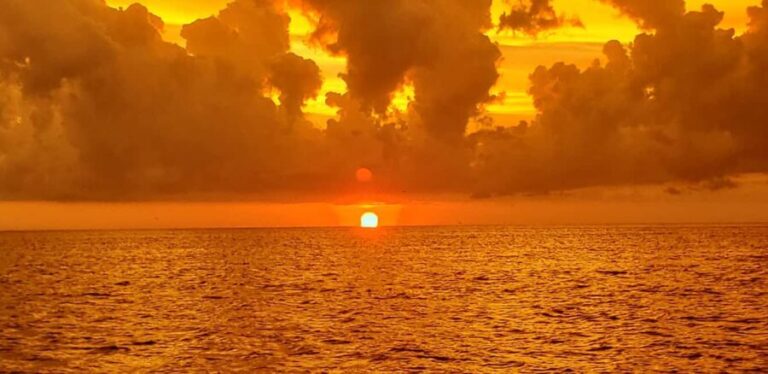 Saint Petersburg: Private Sunset Intracoastal cruise - What to Expect During the Cruise