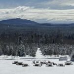 Sainte-Apolline-de-Patton: Guided Wolf Sanctuary Tour - An Authentic Encounter with Gray Wolves in Quebec