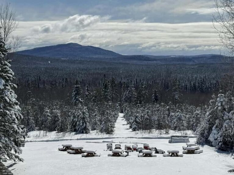 Sainte-Apolline-de-Patton: Guided Wolf Sanctuary Tour - An Authentic Encounter with Gray Wolves in Quebec