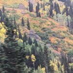 Salt Lake City's Top Guided Hiking Tour with Charcuterie board - Authentic Feedback From Participants