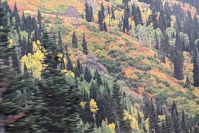 Salt Lake City's Top Guided Hiking Tour with Charcuterie board - Authentic Feedback From Participants