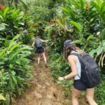 Samoa: Lake Lanoto'o Volcanic Crater Lake Hike & Swim - Why It’s a Good Deal