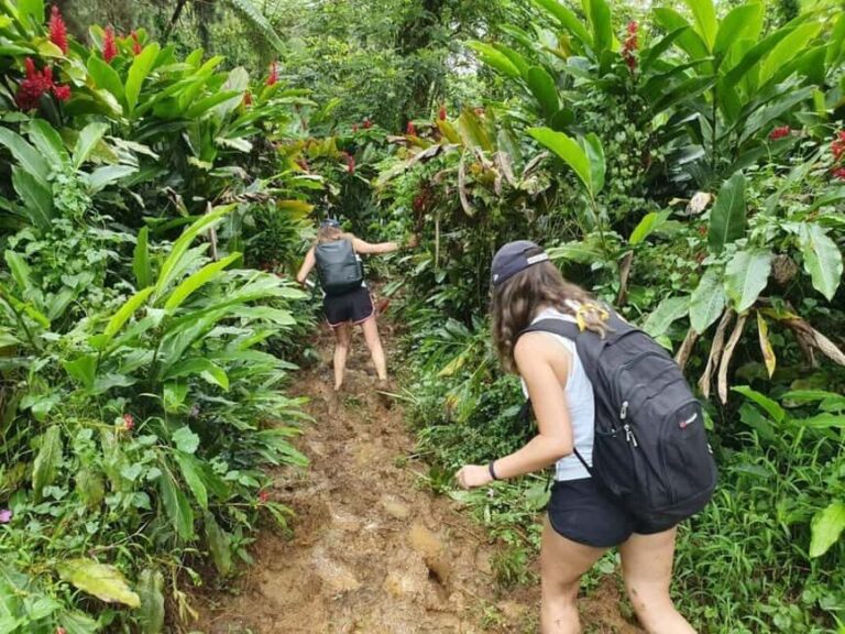 Samoa: Lake Lanoto'o Volcanic Crater Lake Hike & Swim - Why It’s a Good Deal