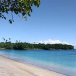 Samoa: National Park Lava Cliffs & Black Sand Beach Day Tour - An In-Depth Look at the Tour Experience