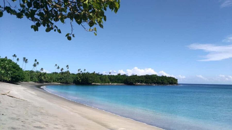 Samoa: National Park Lava Cliffs & Black Sand Beach Day Tour - An In-Depth Look at the Tour Experience