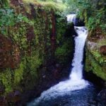 Samoa: Pristine Waters of Upolu, All Inclusive Full Day Tour - Practical Aspects and Whats Included