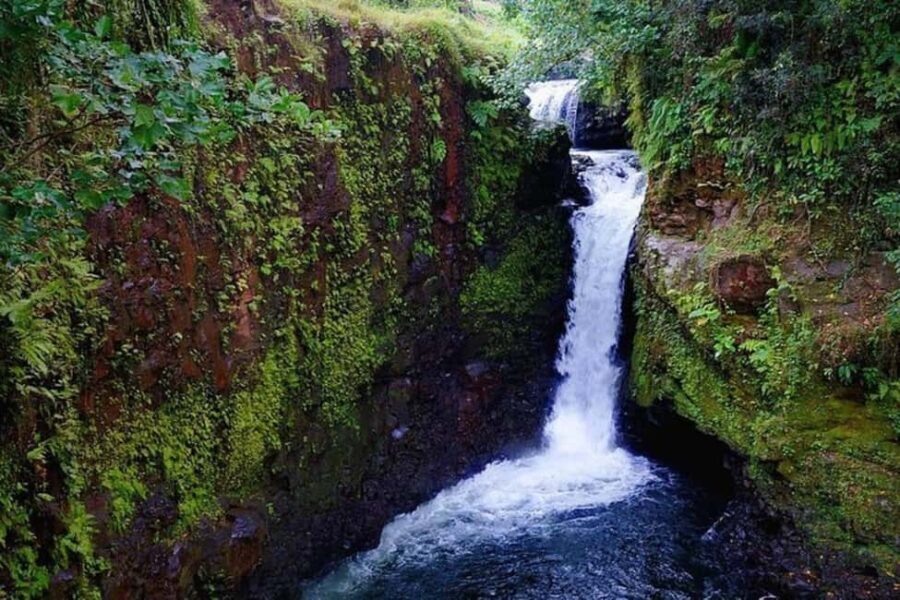 Samoa: Pristine Waters of Upolu, All Inclusive Full Day Tour - Practical Aspects and Whats Included