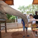 Samui: Feeding Program at the Elephant Home Nursery - Why This Tour Stands Out