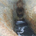 SAMUI: JUNGLE SAFARI by 4x4 Offroad (No Animal) - Who Is This Tour Perfect For?