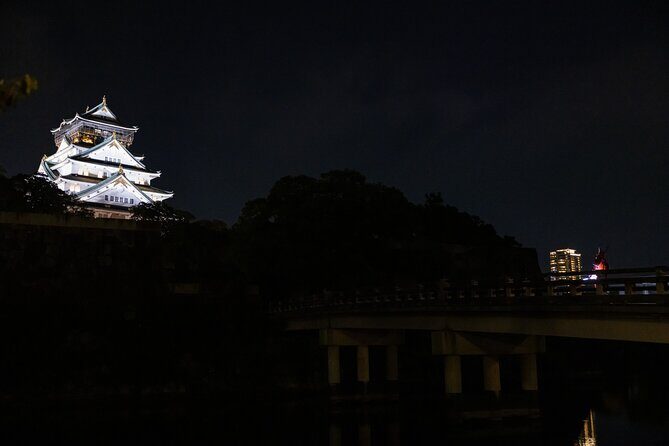 Samurai-specific Osaka Castle Guides Private tours in armor Photo - Dressing Up in Samurai Armor: A Highlight