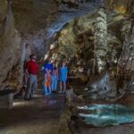 San Antonio: Discovery Tour at Natural Bridge Caverns - What Makes This Tour Special?