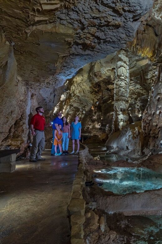 San Antonio: Discovery Tour at Natural Bridge Caverns - What Makes This Tour Special?