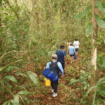 San Cristobal: 2 Days Jungle Kayaking Tour - Who Should Consider This Tour?