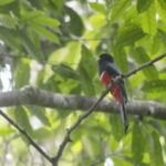 San Cristobal: 4 Days Nature Tour in the Lacandon Jungle - The Experience’s Practical Details