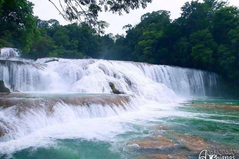 San Cristobal: Agua Azul, Misol Ha & Palenque Experience - What We Love About the Tour