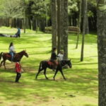 San Cristóbal: Arcotete Ecotourism Park & Rancho Nuevo Caves - Exploring the Rancho Nuevo Caves