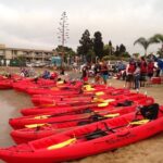 San Diego Bay 1.5-Hour Guided Kayak Tour in Coronado - Who Would Love This Tour?