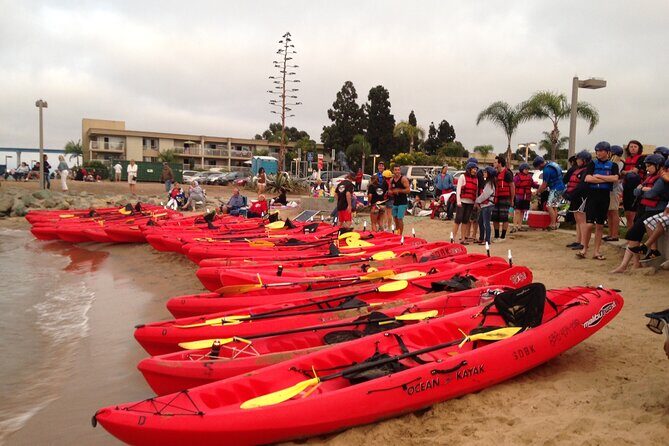 San Diego Bay 1.5-Hour Guided Kayak Tour in Coronado - Who Would Love This Tour?