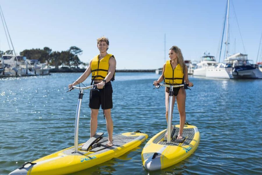 San Diego: Elliptical Paddle Board Rental - Authentic Insights from Reviews