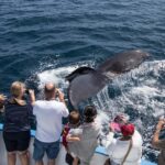 San Diego: Go City All-Inclusive Pass with 45+ Attractions - What Are the Key Attractions?