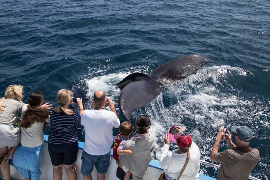 San Diego: Go City All-Inclusive Pass with 45+ Attractions - What Are the Key Attractions?