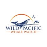 San Diego: Luxury Year-round Whale Watching & Dolphin Tour - An In-Depth Look at the Experience
