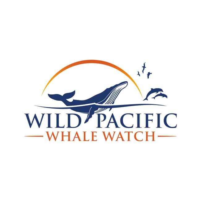 San Diego: Luxury Year-round Whale Watching & Dolphin Tour - An In-Depth Look at the Experience