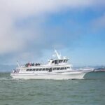 San Diego Whale/Dolphin Watching Cruise Aboard Luxury Vessel - A Full Breakdown of the Experience