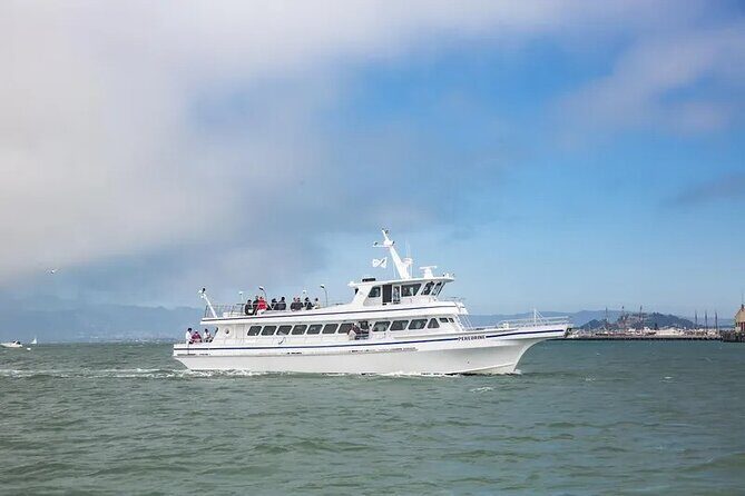 San Diego Whale/Dolphin Watching Cruise Aboard Luxury Vessel - A Full Breakdown of the Experience
