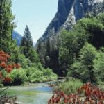 San Francisco: 2-Day Tour to Los Angeles with Parks - First Impressions: What’s on the Agenda?