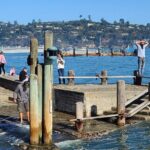 San Francisco Bay Cruise, Muir Woods and Sausalito Combo Tour - Authentic Experience & What Travelers Say