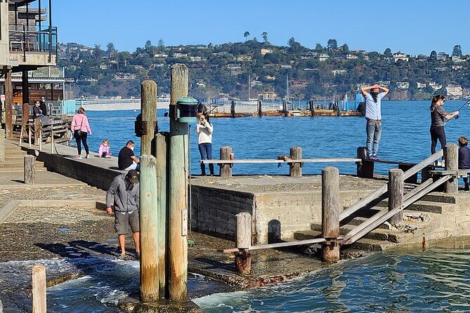 San Francisco Bay Cruise, Muir Woods and Sausalito Combo Tour - Authentic Experience & What Travelers Say