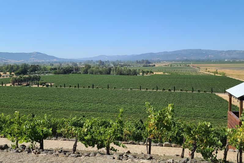 San Francisco: Half-Day Wine Tour with 2 Tastings Included - The Experience: What You’ll Love and What to Consider