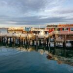 San Francisco: Monterey and Carmel Day Tour - What Could Be Better?